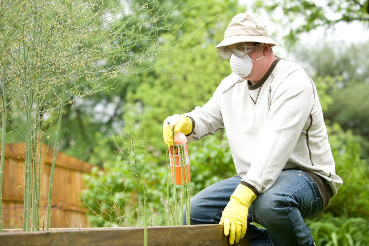 Pest Control – tankenkastore